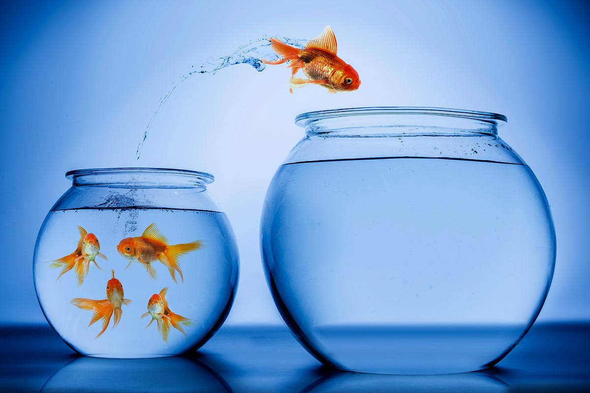 ACT Action Changes Things To Know And Not To Do Is Still Not To ACT Action Changes Things To Know And Not To Do Is Still Not To