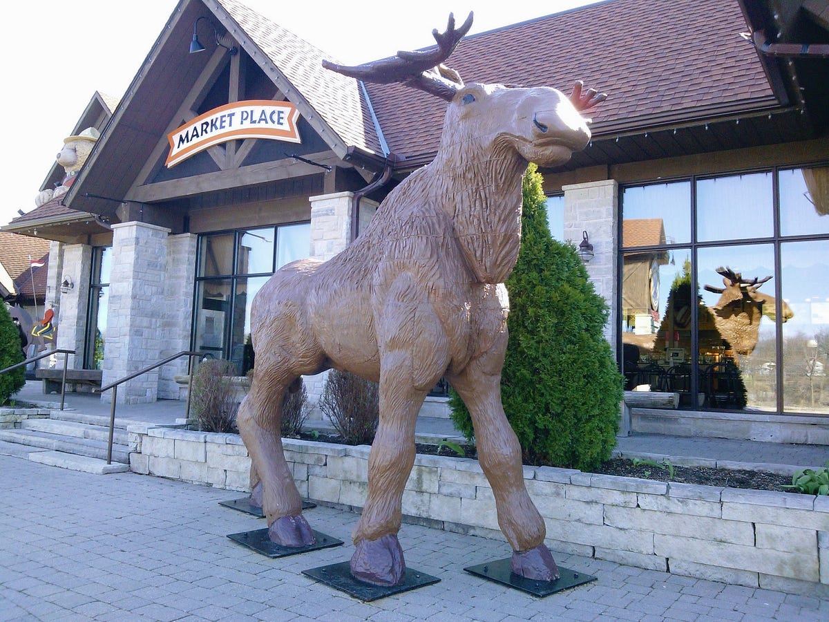 When We Met Big Moose In Souvenir City | by Vidya Sury, Collecting ...