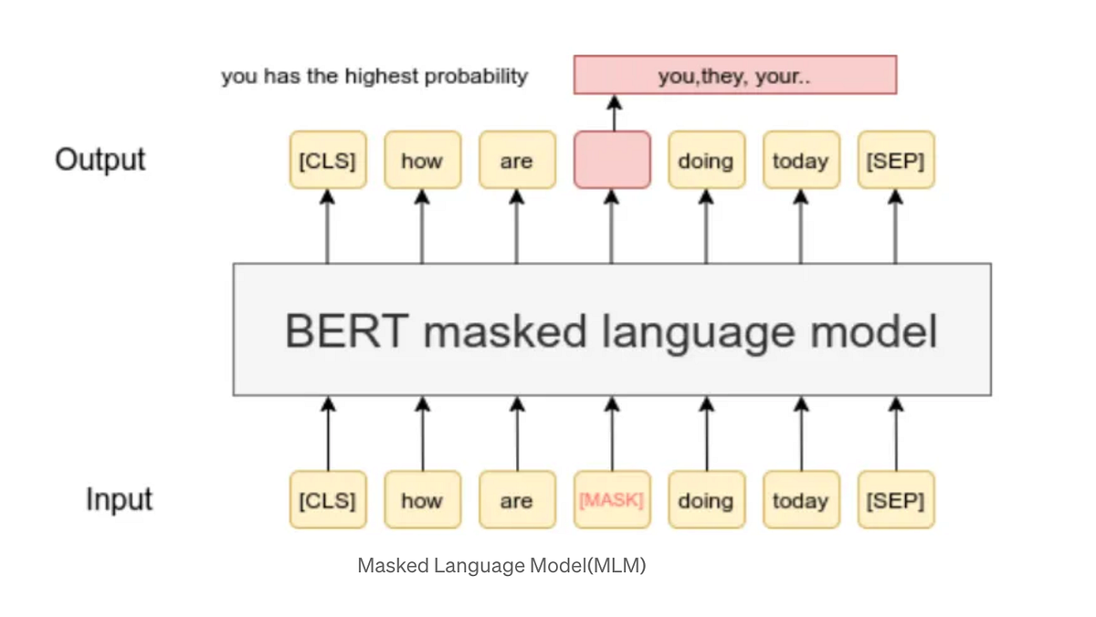 Why understanding BERT is important? | by Kavya Sri | Medium