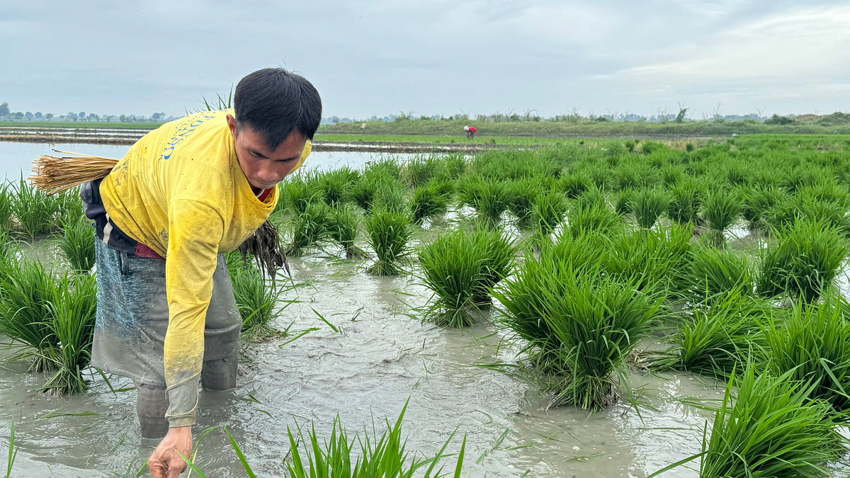 Hinagpis ng Kanayunan sa Isang Umuunlad na Bansa | by The Manila ...