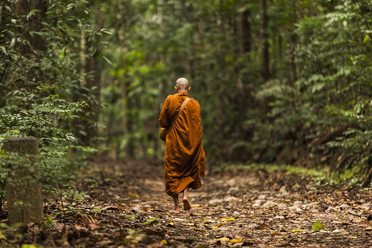 The Forest Monks -Seeking Solitude and Spiritual Awakening in Theravada Buddhism | by Birgit ...
