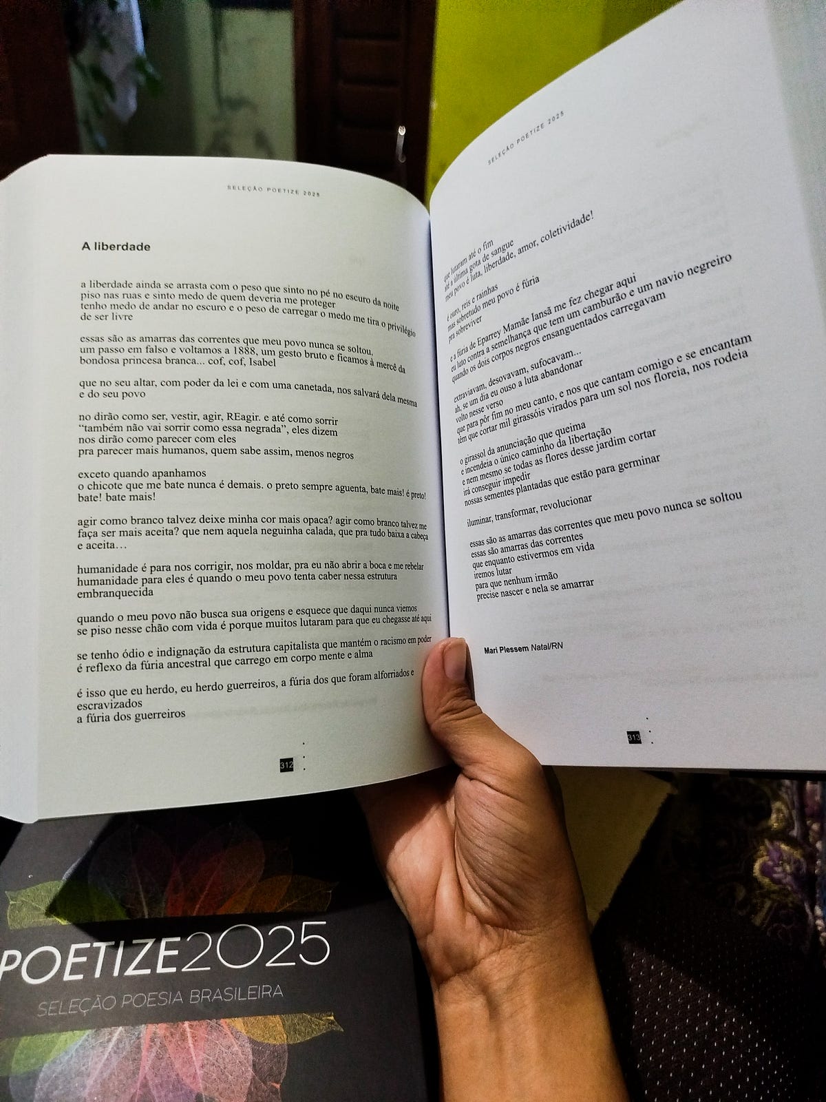 A Liberdade. Poema publicado na Antologia “Poetize… | by Marianne Plessem | Apr, 2025 | Medium