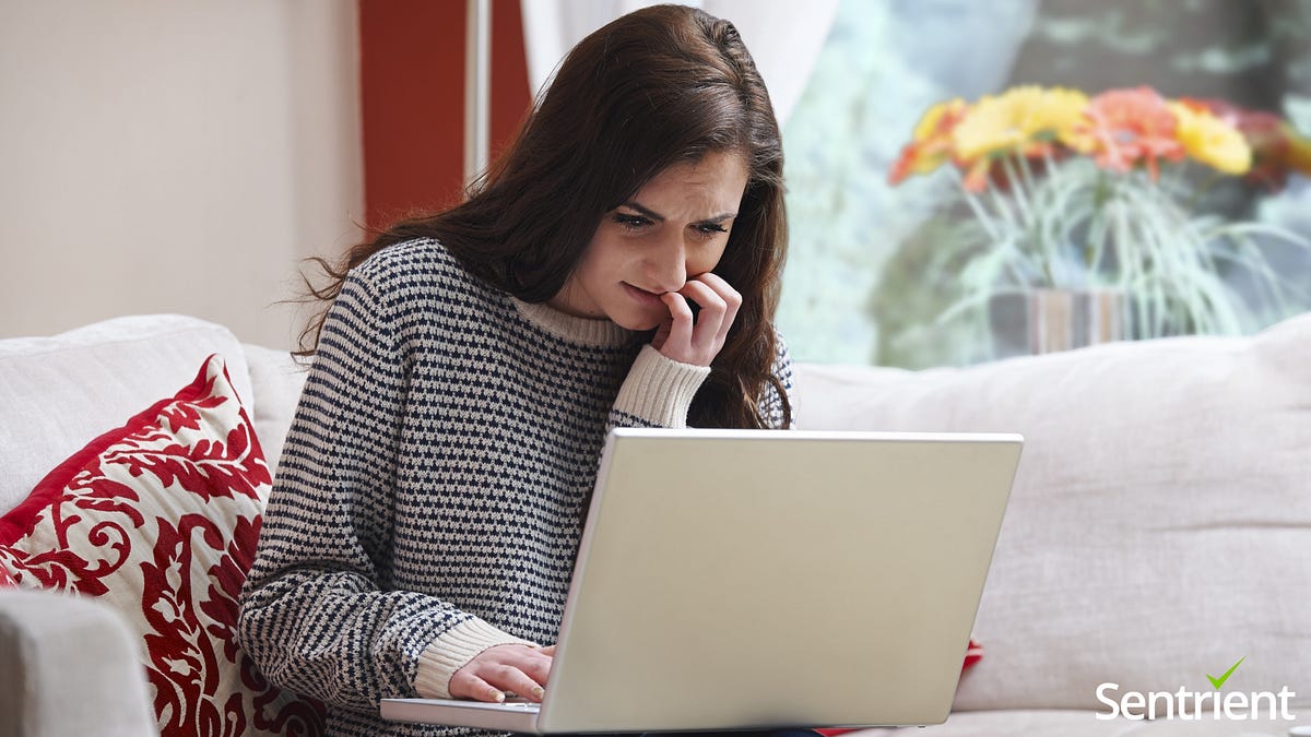 What Is Cyber Harassment And How To Stop It | by Sentrient | Medium
