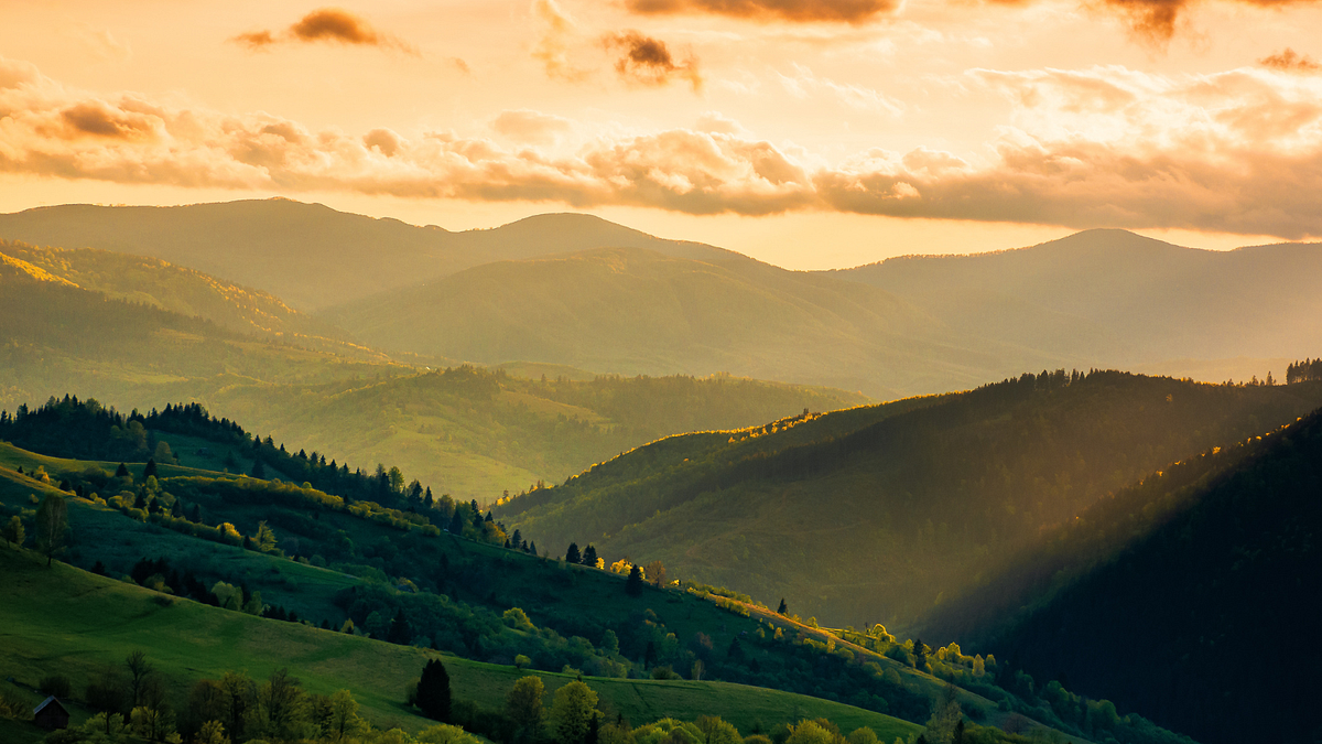 Embracing Solitude: My Journey to Self-Discovery and Fulfillment | by ...