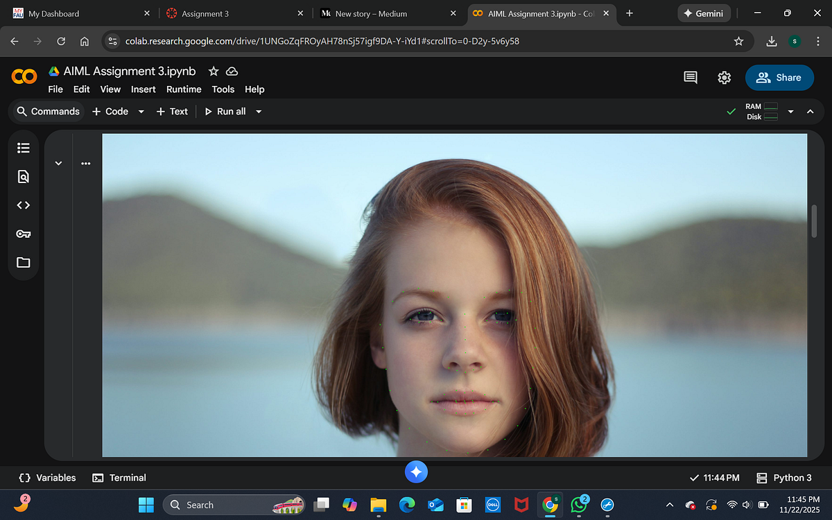 FaceSwap: Inside the Engineering of a Popular Open-Source Deepfake App | by shreya khandkekar ...
