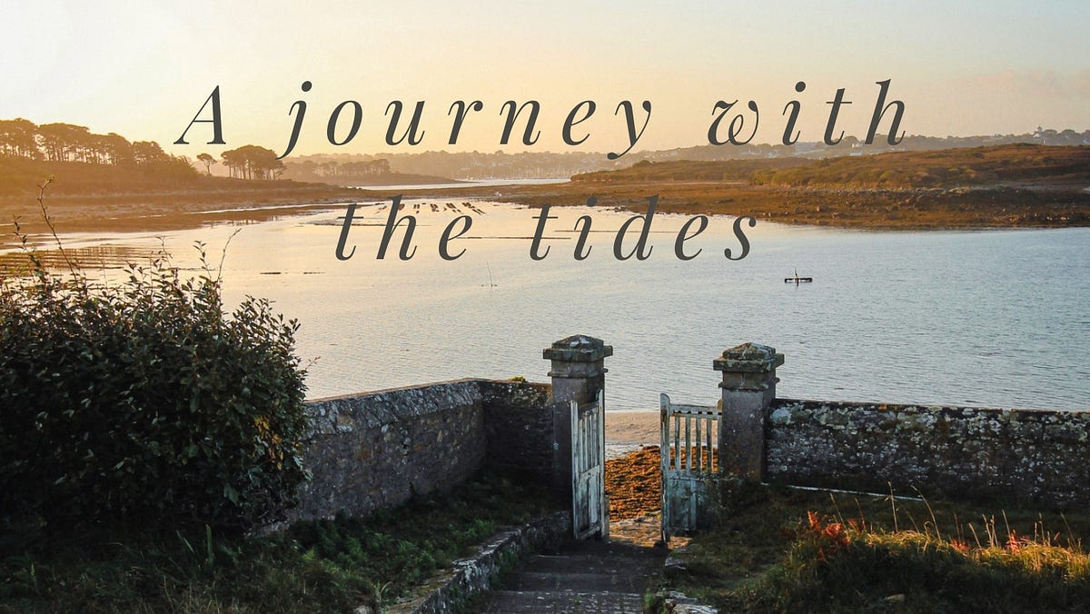 Ebb Tide – a journey with the tides | by Sandra Rohde | Medium