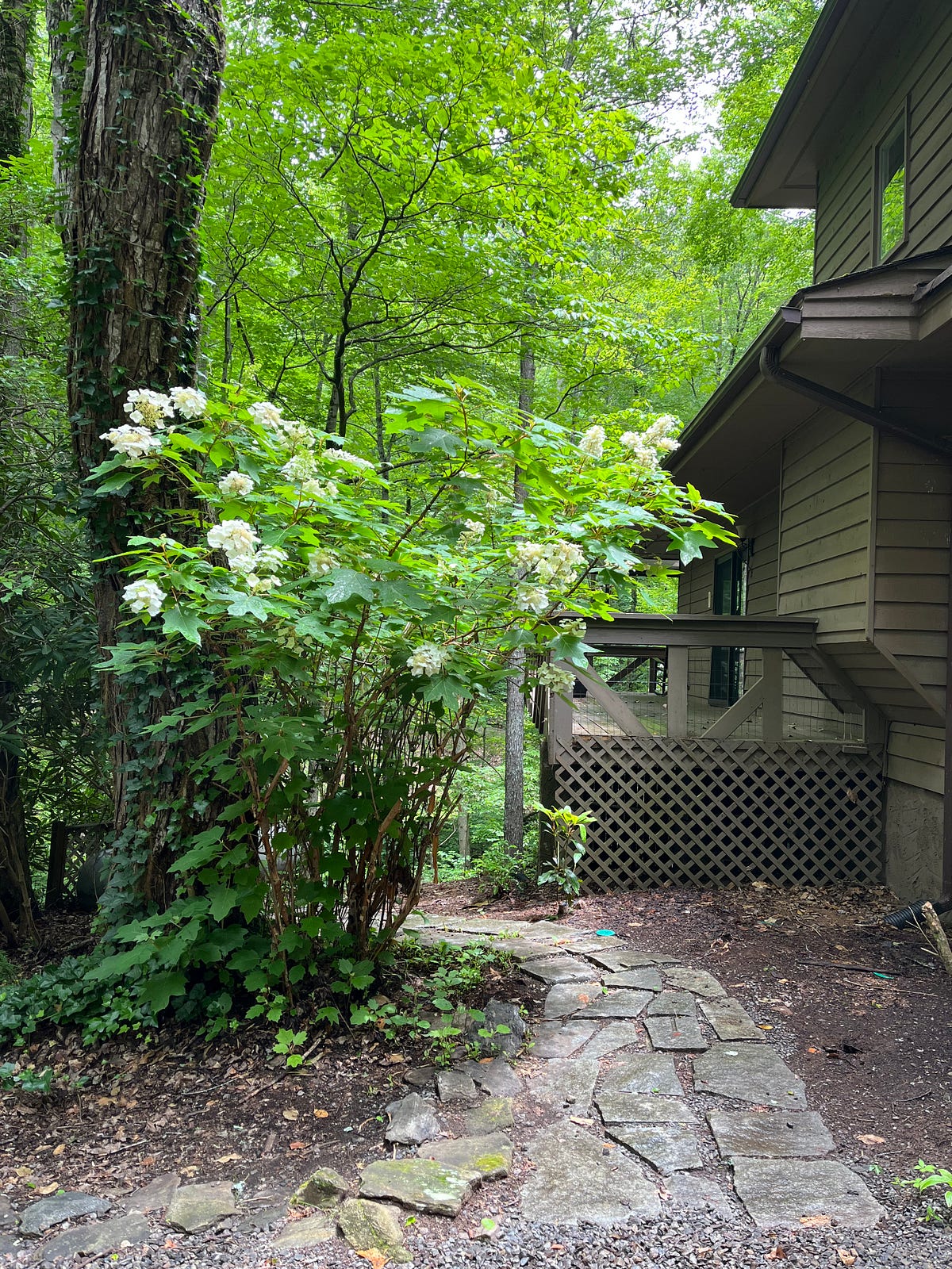 The Magic and Grace of Finding Home | by Beth Bruno | Middle-Pause ...