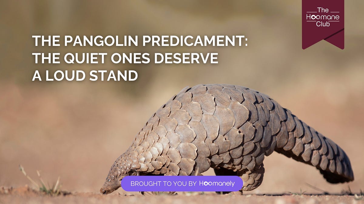 The Pangolin Predicament: The Quiet Ones Deserve a Loud Stand | by ...