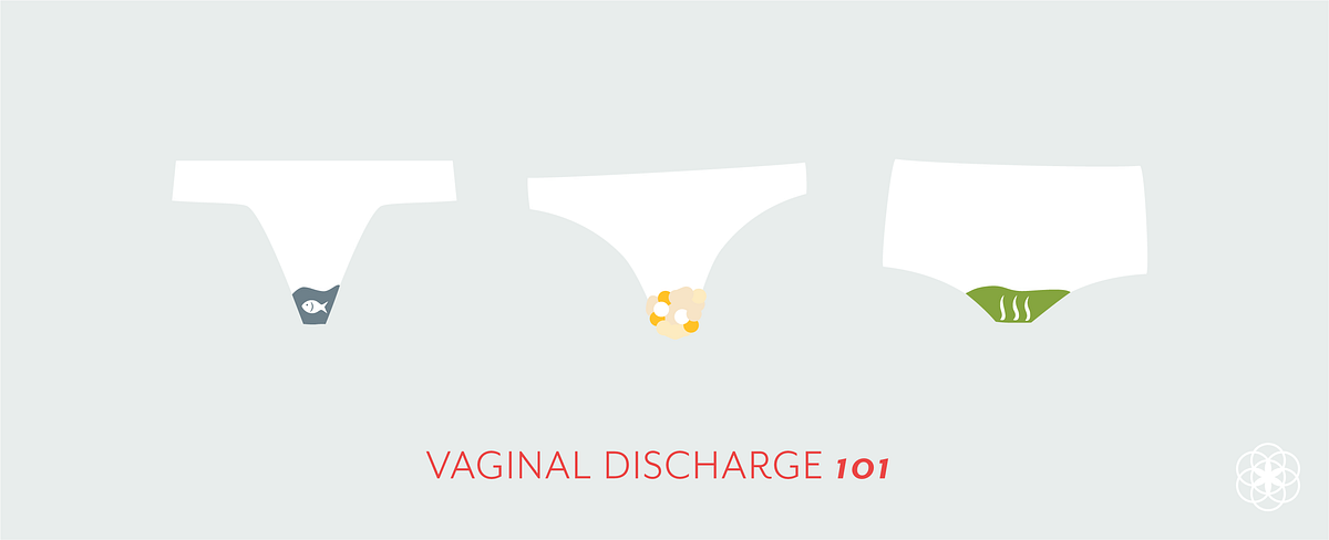 Vaginal Discharge 101: What is “normal?” | by Anna Druet | Clued In ...