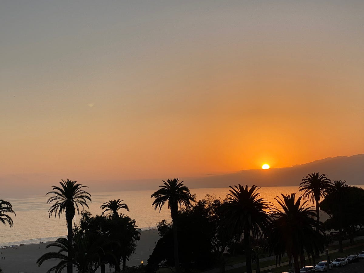 Bicoastal Life. Why I Left New York for Los Angeles and Why I Keep ...