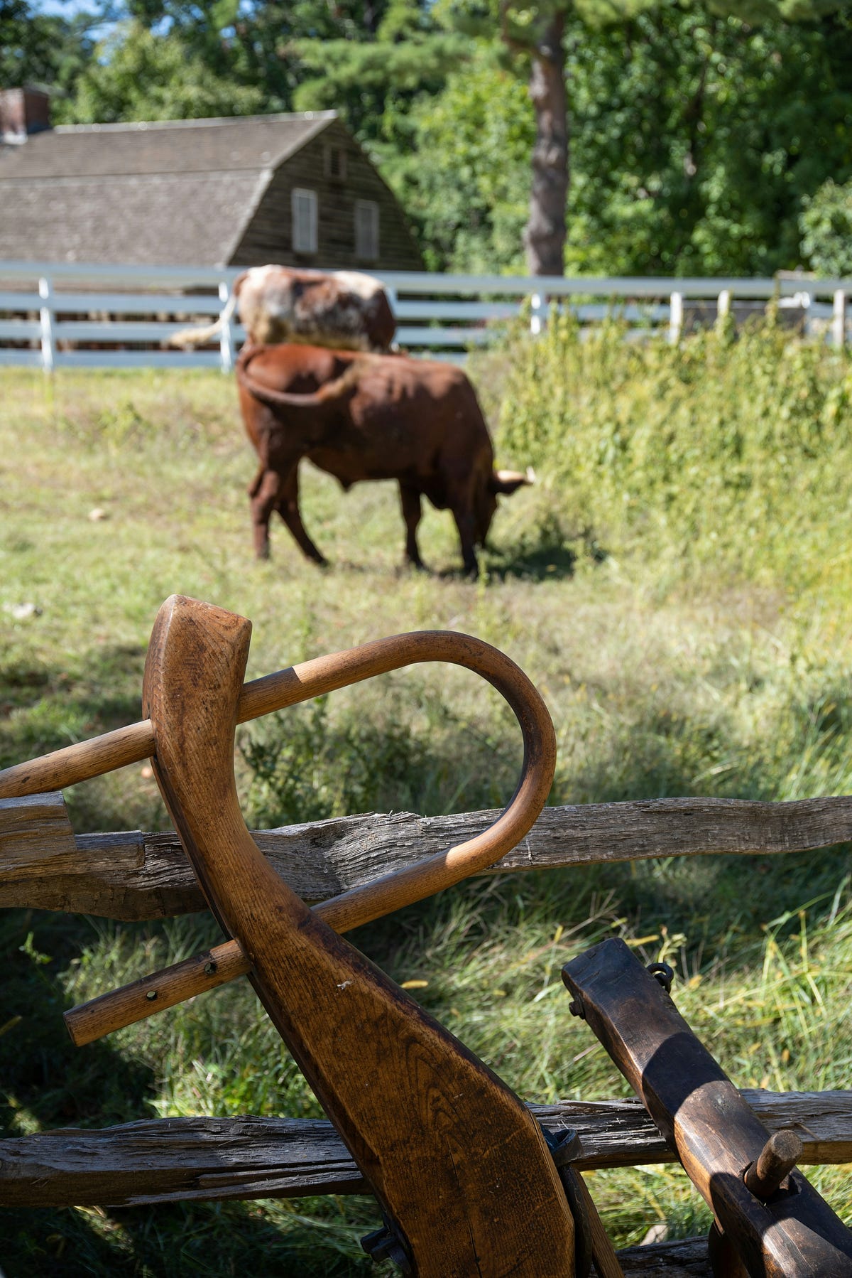 Unveiling the Ultimate Partnership: Co-labouring with God for Purpose | by Amah Afadameh | Medium