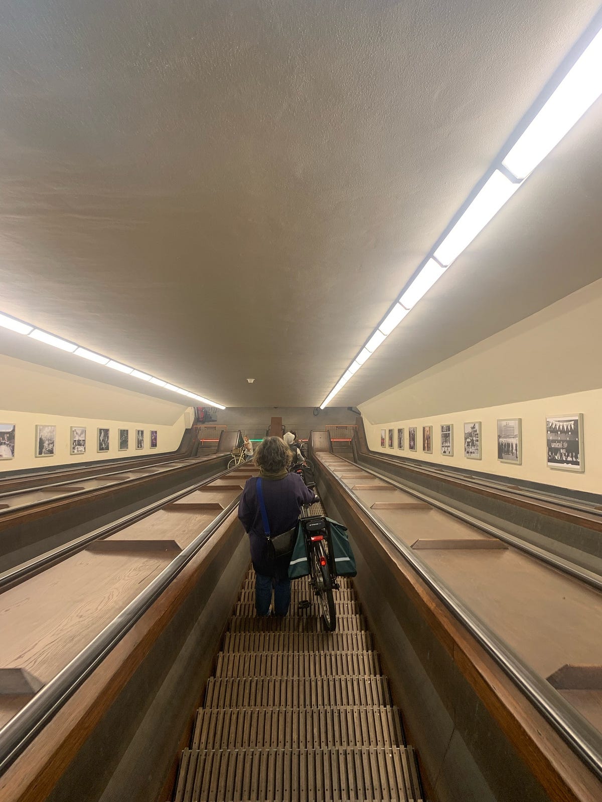 The Netherlands: A Biking Paradise – Why the Infrastructure is So ...