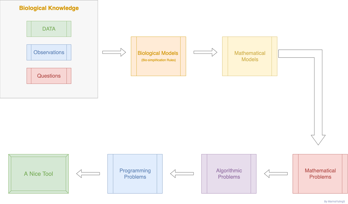 02 Chain of Reasoning in the Development of Bioinformatics Tools and ...