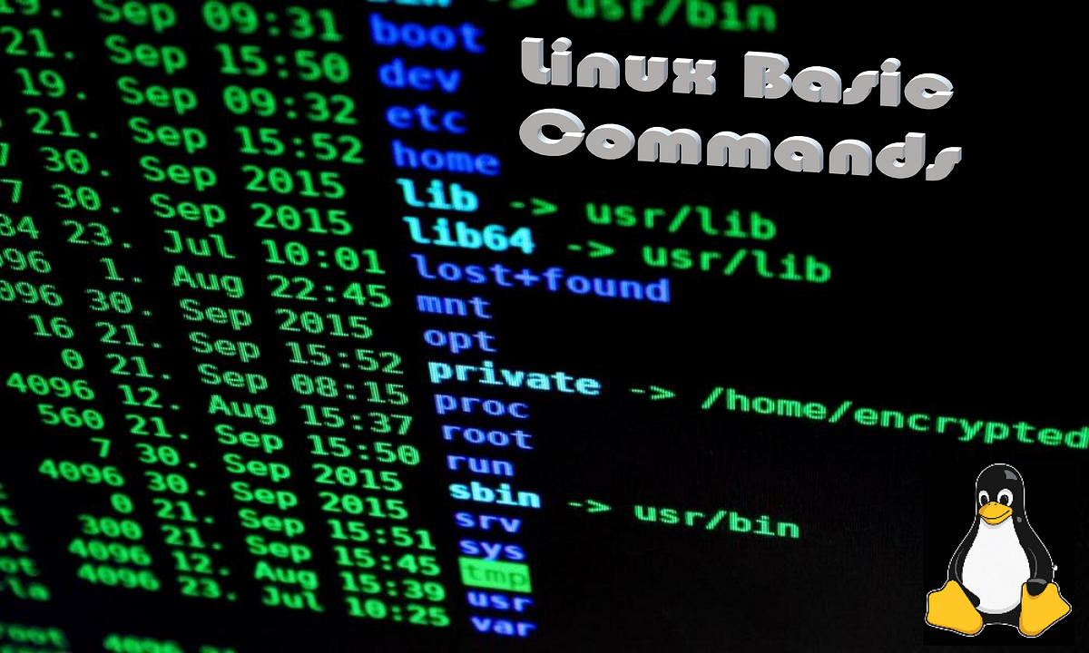 The Basic Linux Commands — Part 1 | by Francisco Souza | Medium