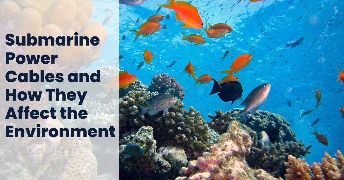 Submarine Power Cables and How They Affect the Environment | by ...