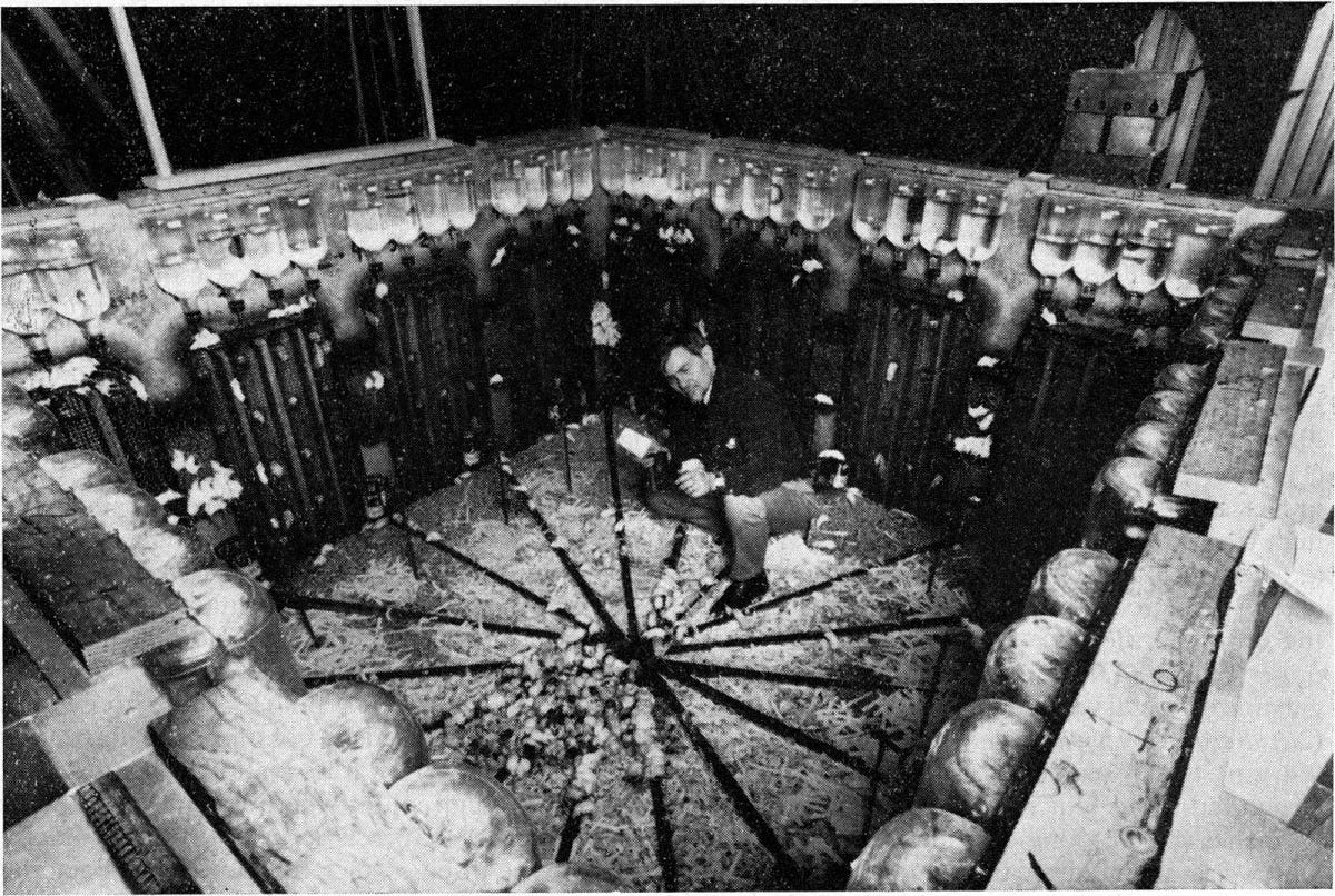 THE UNIVERSE 25: THE RAT UTOPIA EXPERIMENT | by Vernon Nsofwa | Medium