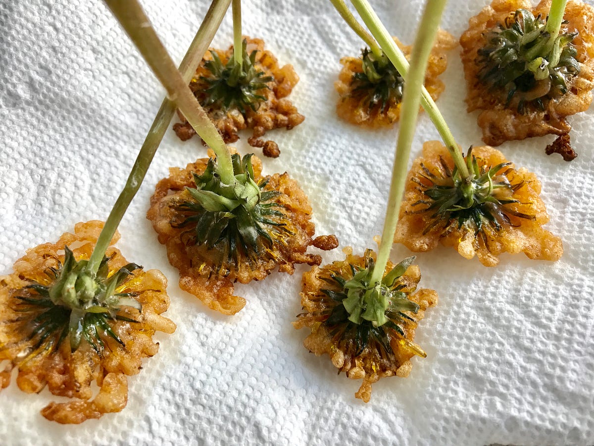 Dandelion Fritter. Now it’s the time to savor the bright… | by Mei Wong ...