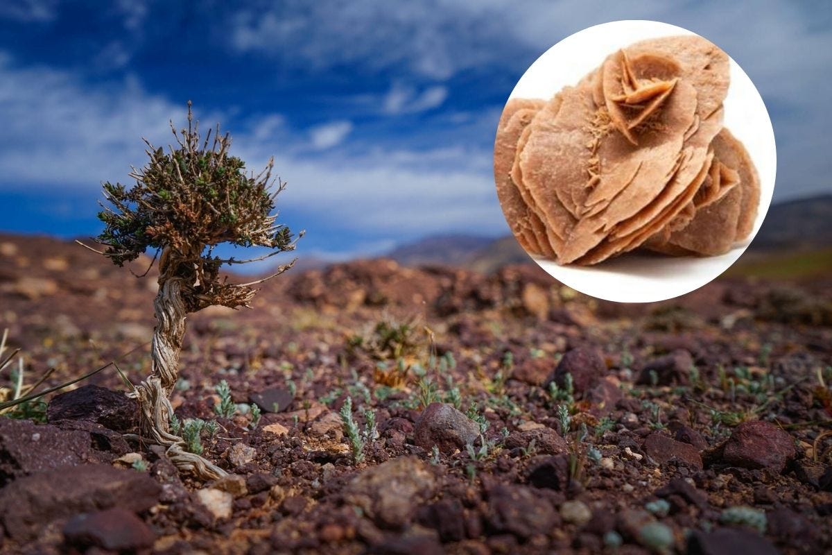 The Sahara’s Hidden Gem: Unveiling the Mystery of The Sahara Desert ...
