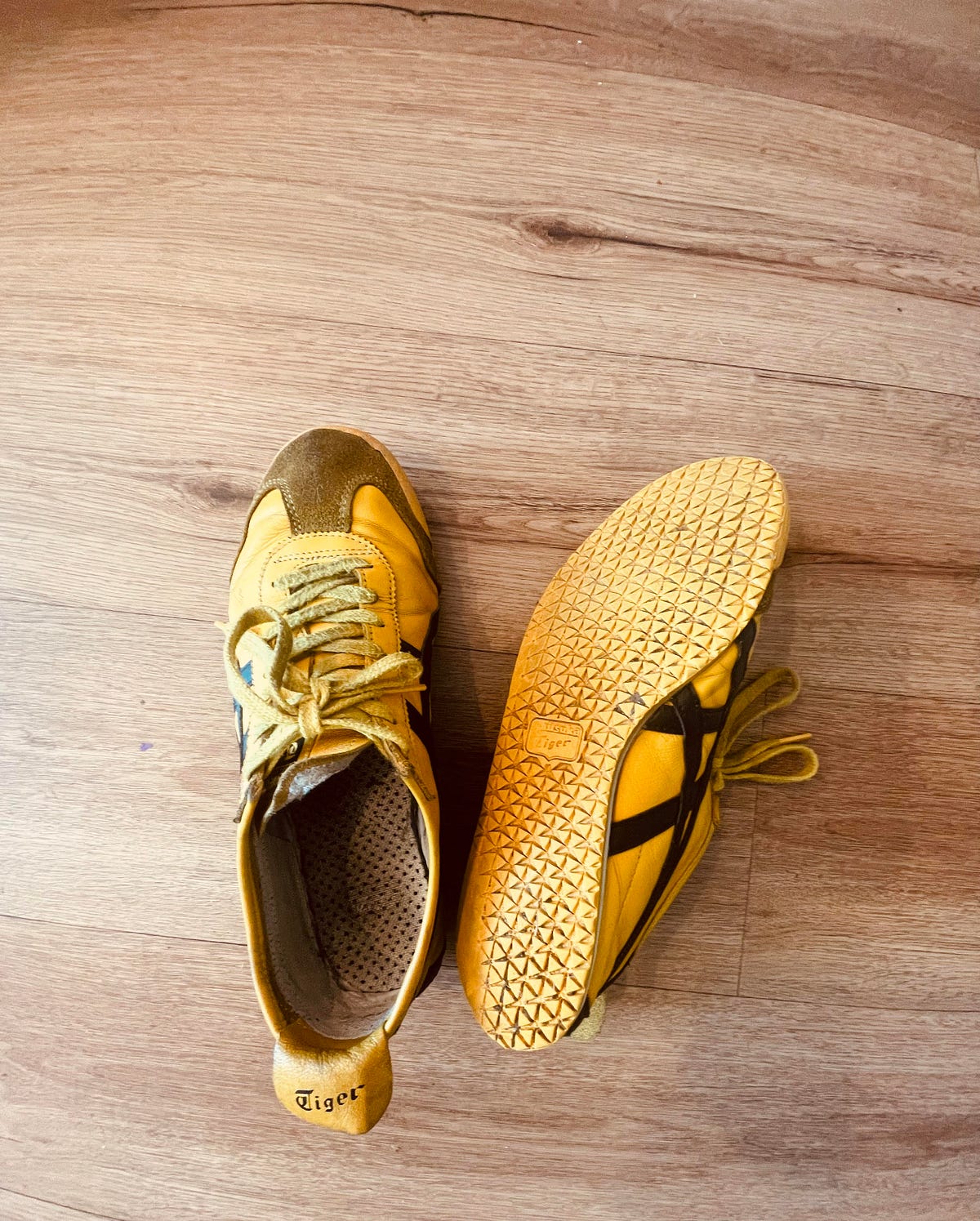 I stepped in Shit today. Today, I stepped in shit. Yes, literal… | by ...
