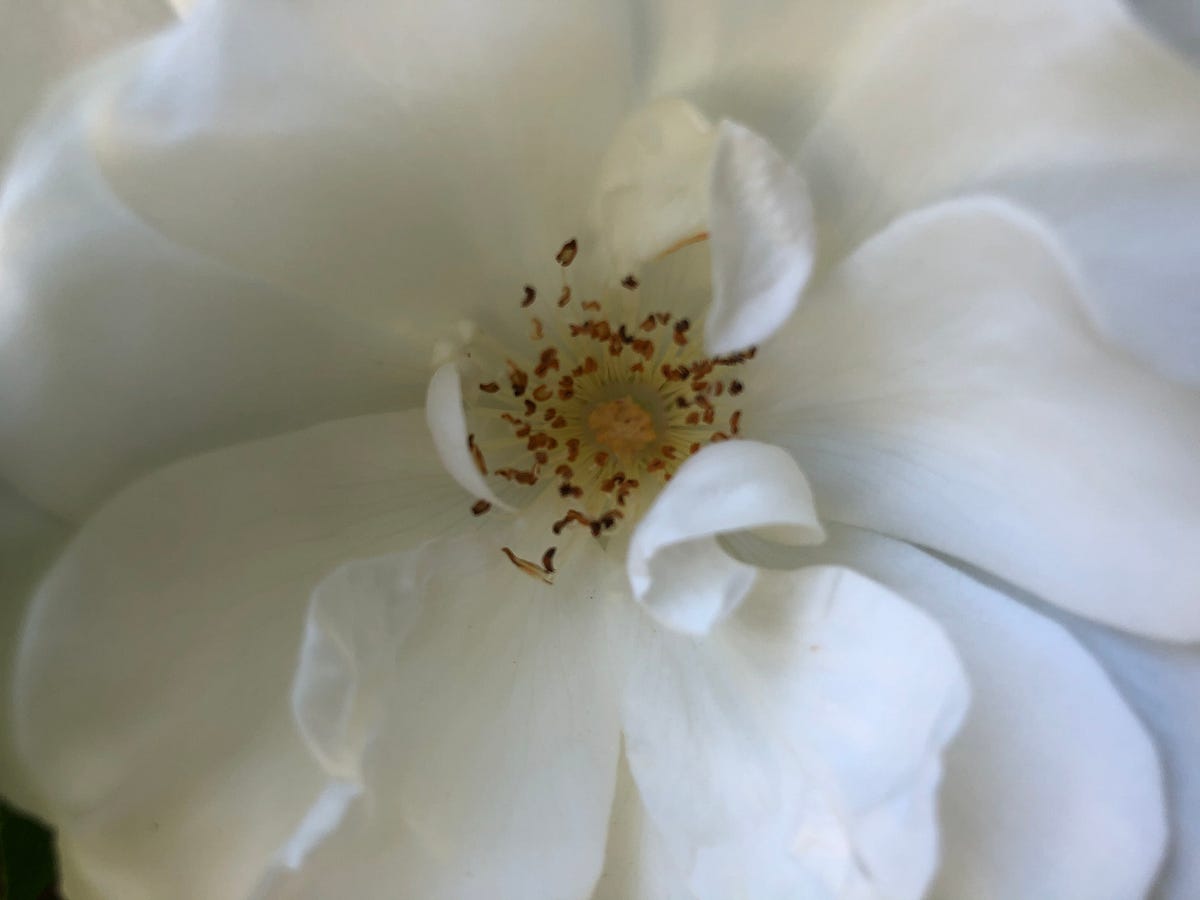 Haiku 234 (a Tanka). Daily prayer: haiku; meditation in… | by Zoe Day ...