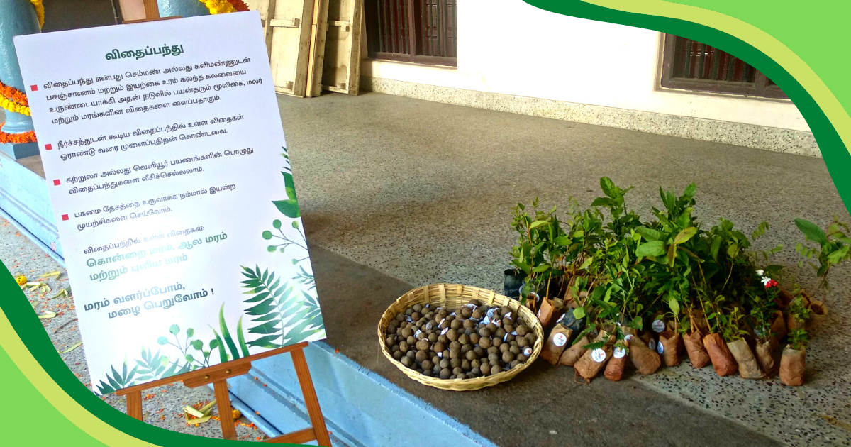 SEED BALLS AND THEIR IMPORTANCE!. We all have seen seed balls in our ...