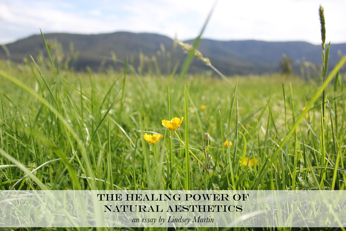 The healing power of natural aesthetics | by Lindsey Martin ...