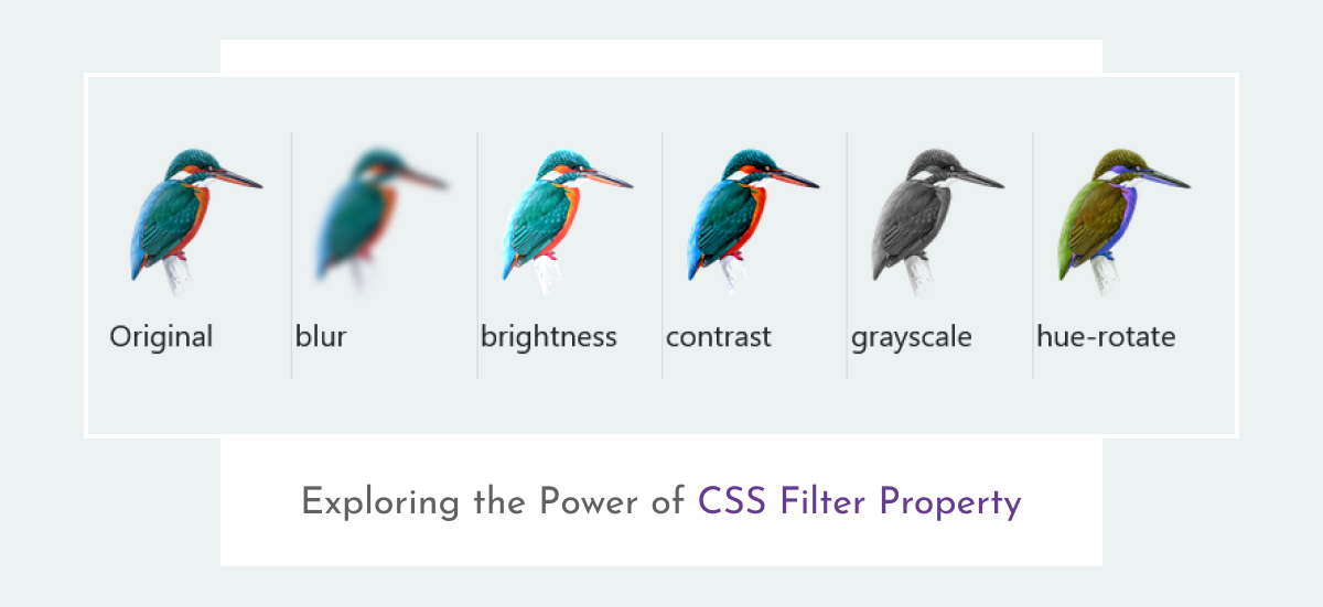 Exploring the Power of CSS Filter Property | by shashi rupapara | Medium