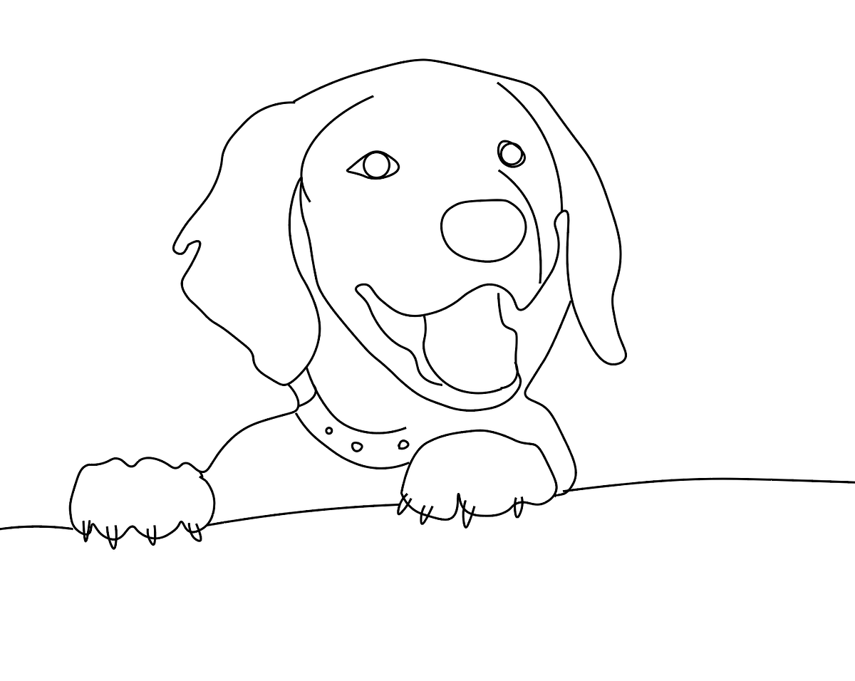 Pen Tool animal practice &Color Palette | by Shitian Wang ...