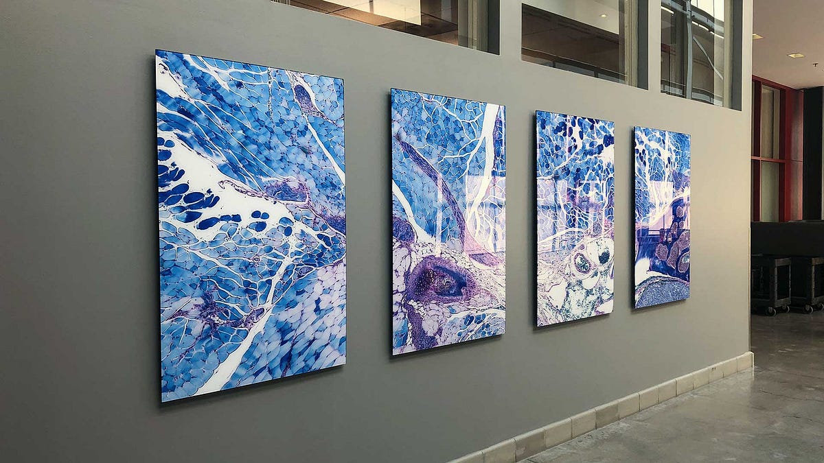 Buy High Quality Acrylic Face-Mount Print - JD Densions - Medium
