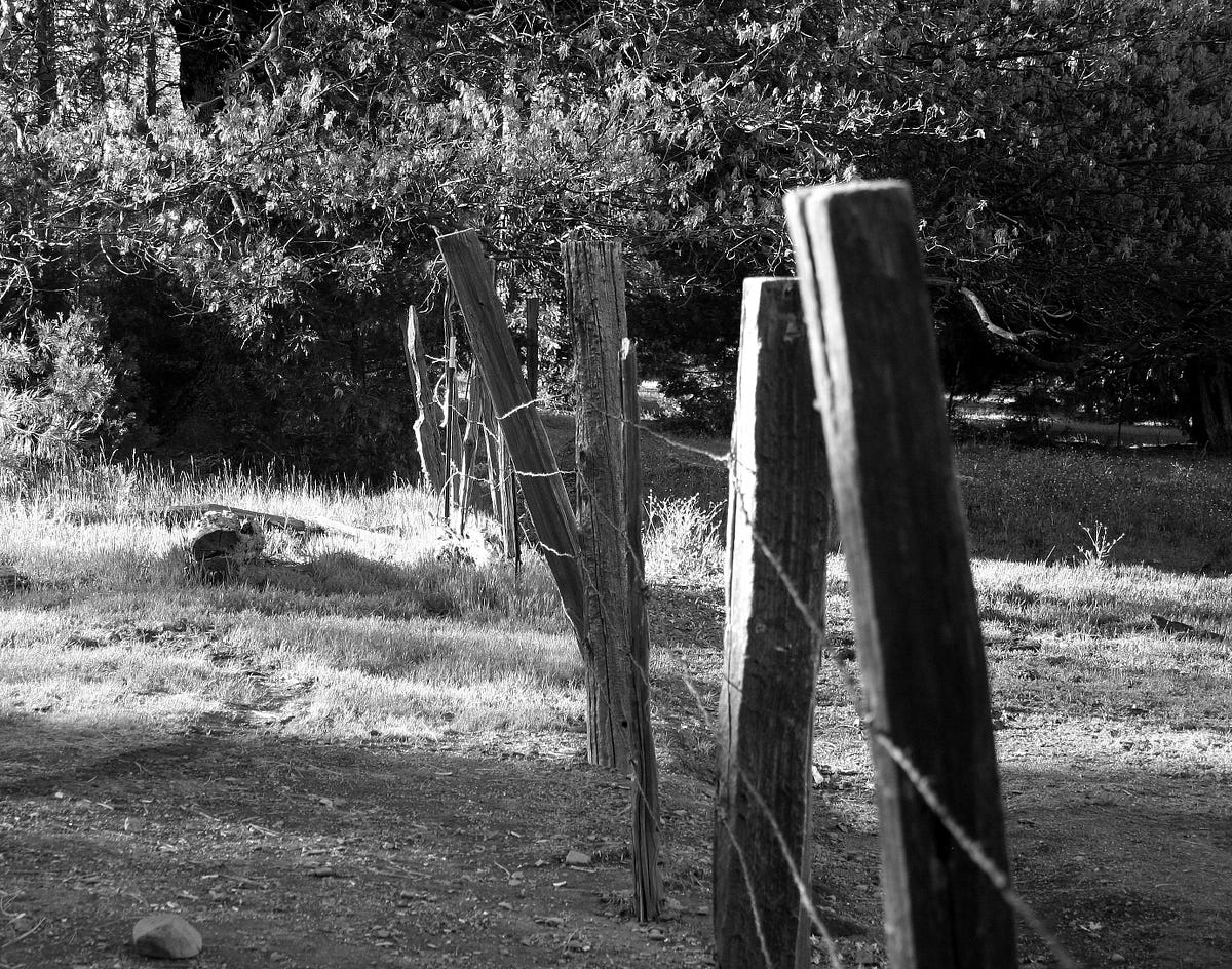 Before Night Fell. a triversen | by Christopher Raley | Poetry in Form