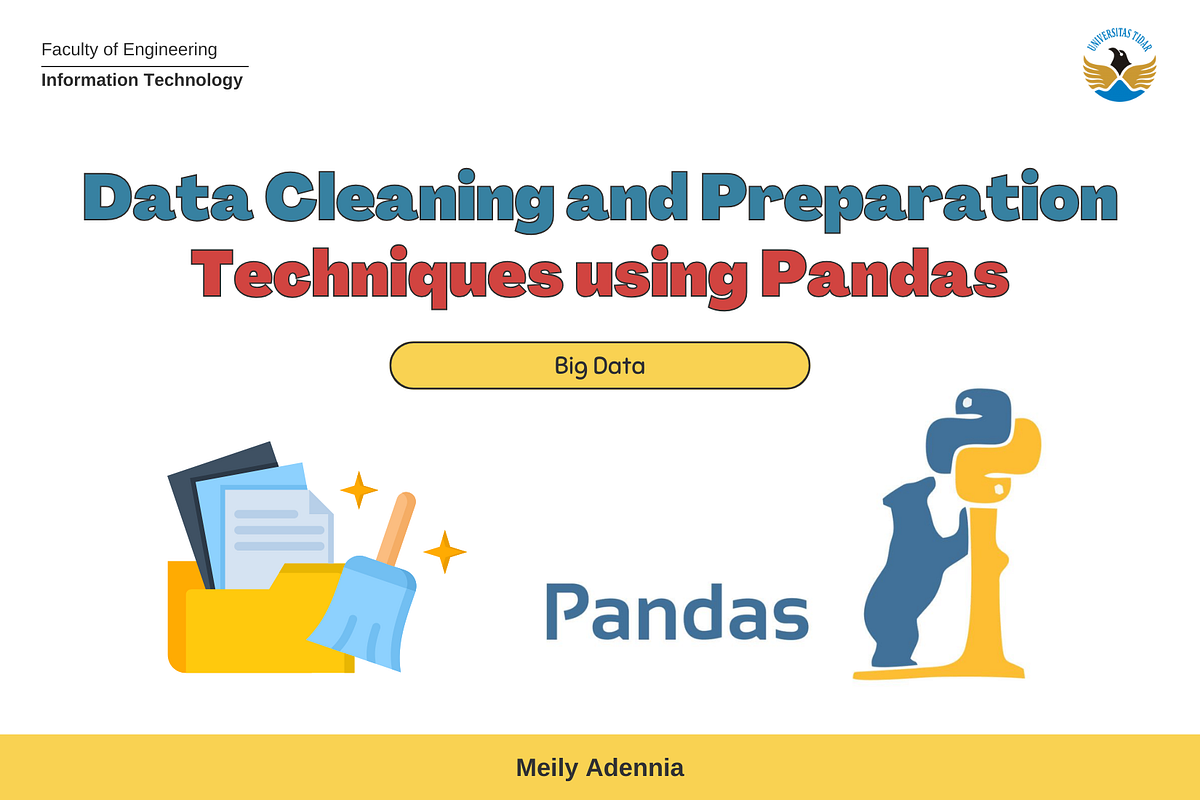 Data Cleaning and Preparation Techniques using Pandas | Praktikum Big ...