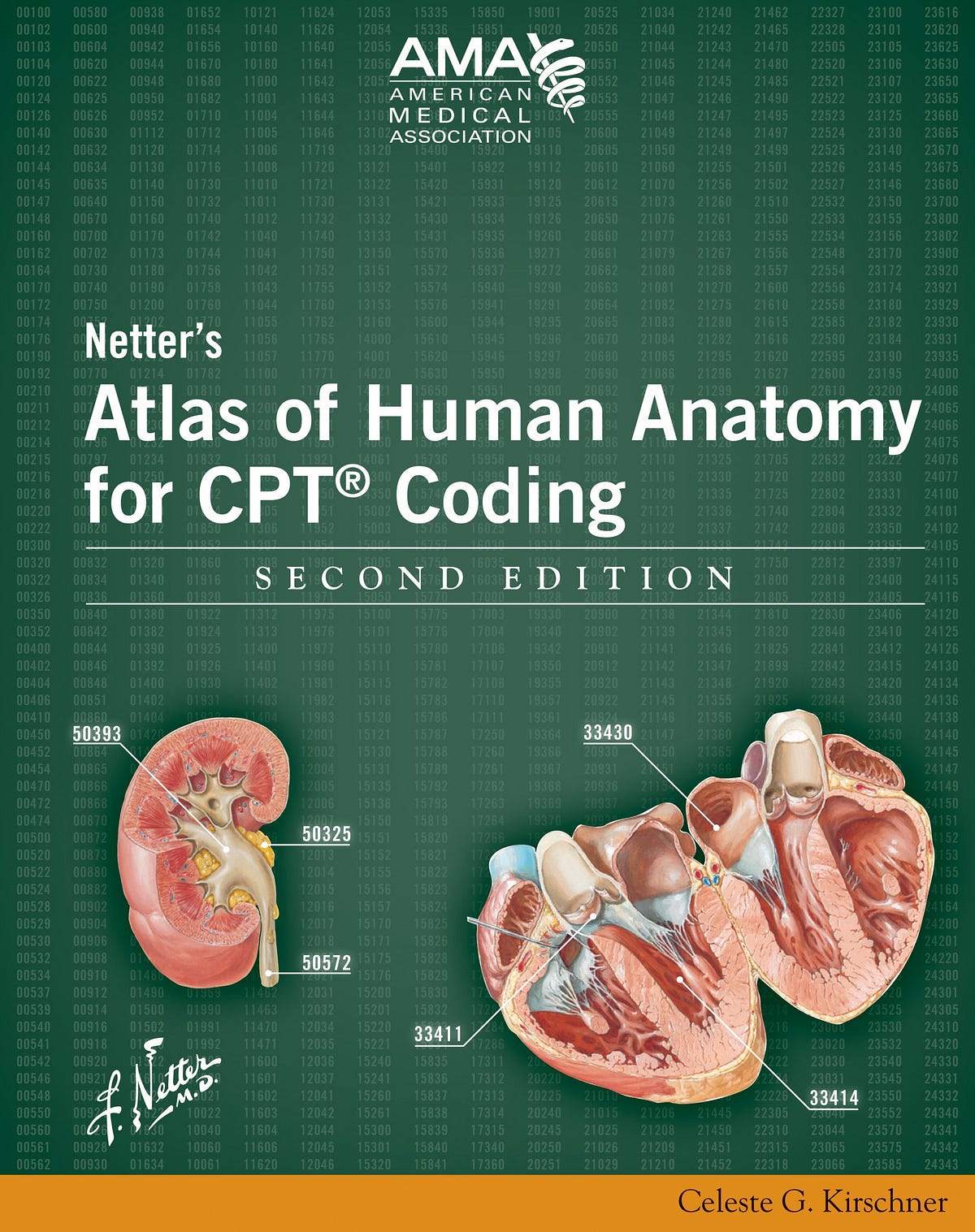 From increasing y[READ] Netter’s Atlas of Human Anatomy for CPT ...