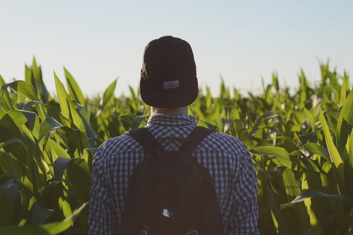 4 Ways To Live a More Productive Life | by Raul Ballesteros | The Startup | Medium