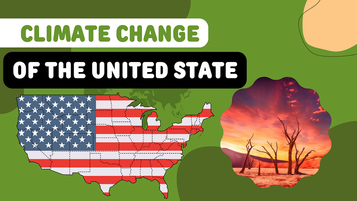 Climate of the United States: A Diverse Weather Tapestry | by MR ...