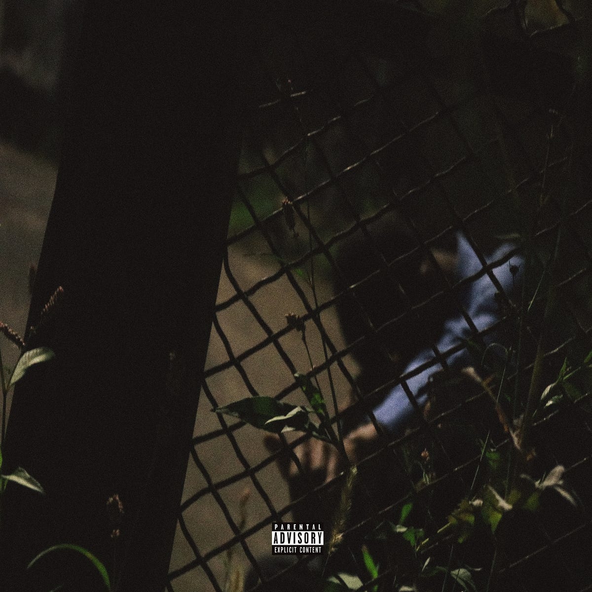 Durice Thompson — You’ll Never Understand | by sabrina 🍄 | Medium