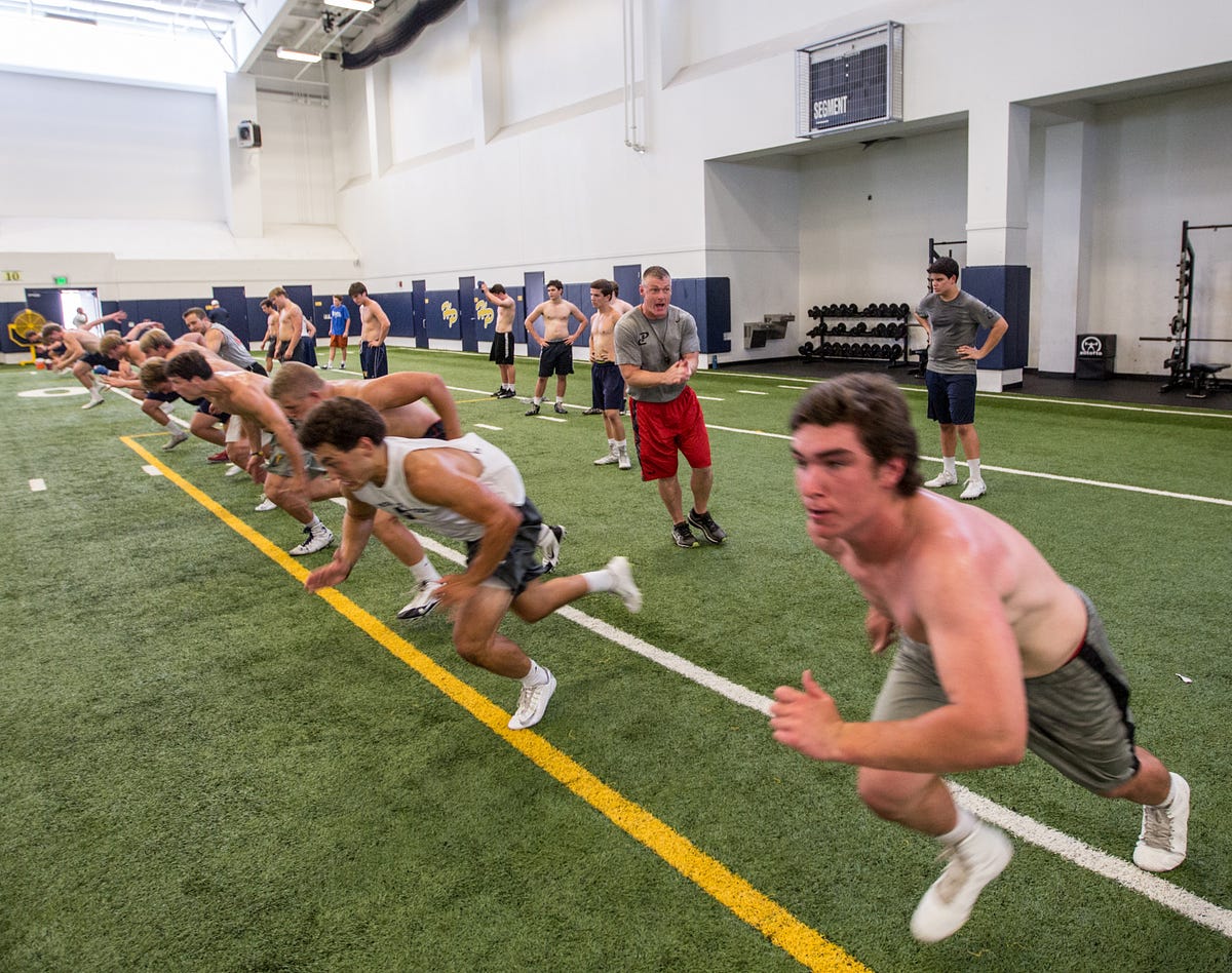 Annual Plan: Developing ATHLETES in a Year-Round Training Plan | by ...