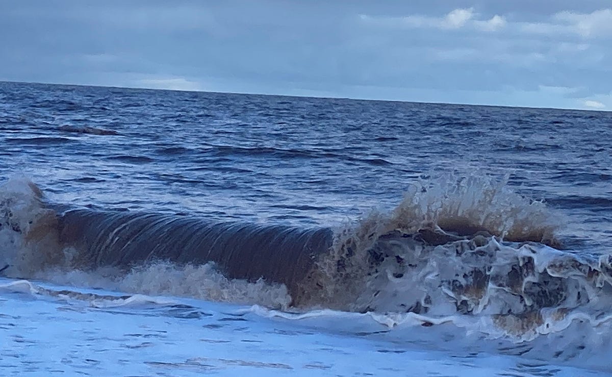 The Ocean Cleanup Project | Penny Grubb | The Daily Cuppa