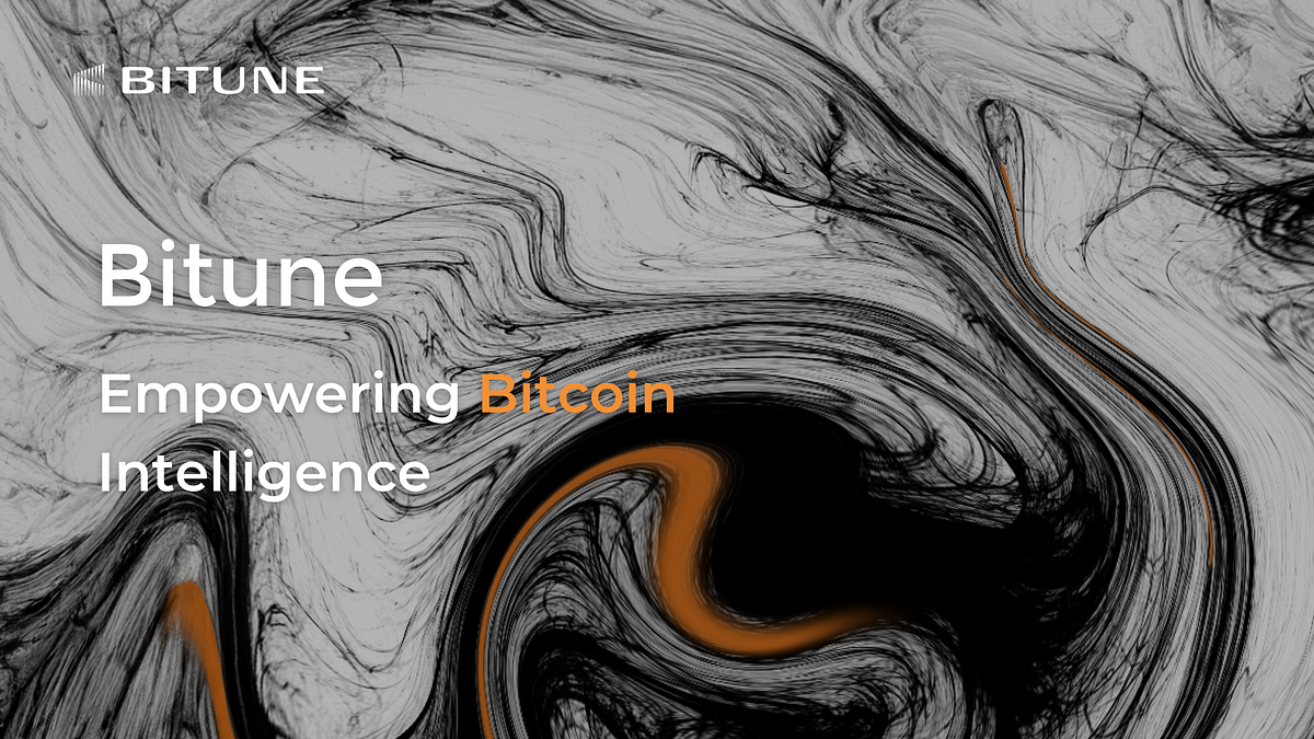 Antimatter’s Evolution into Bitune: A Perspective from Within | by ...