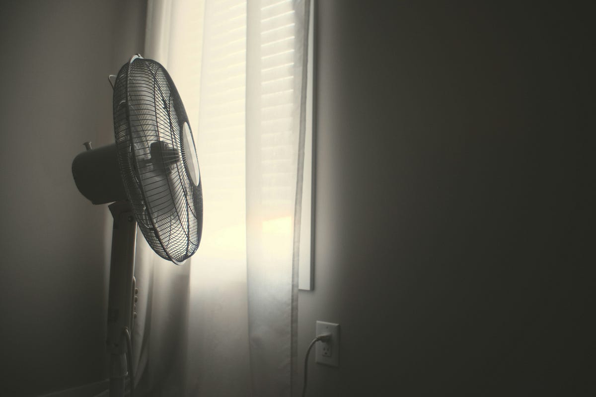 The fan man . . .. I was so relieved pet, that you . . . | by Linda ...