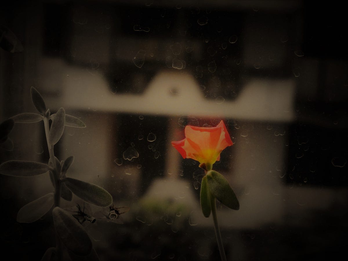 Colour grey. Dried rain drops on a dusty window… | by Rupa Abdi | Medium