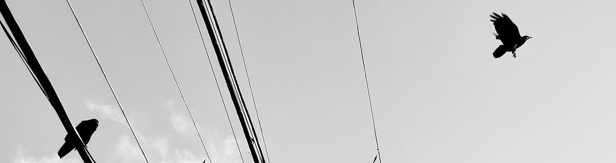 A break in the loop goes a long way | by Brandon Wilks | Jan, 2025 | Medium