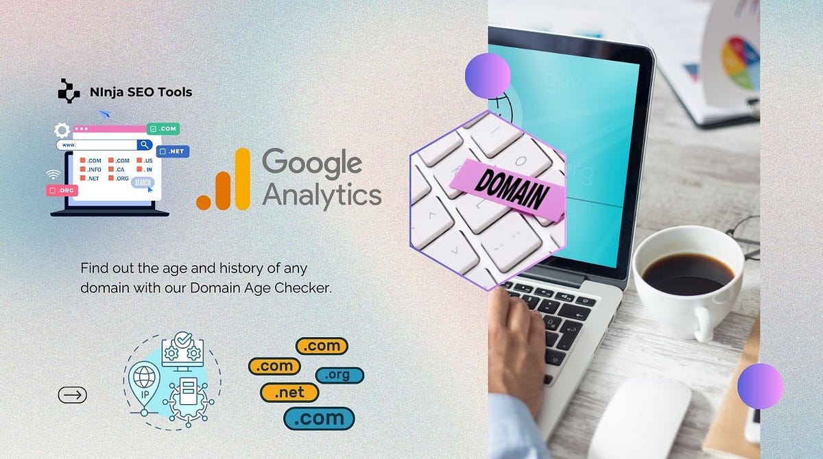 Unveiling Domain Age: Leveraging Insights with the Domain Age Checker ...