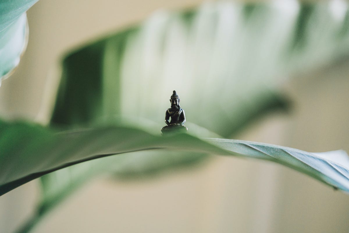 Consciousness. From where do we sense and act | by Ashley Heacock | New ...