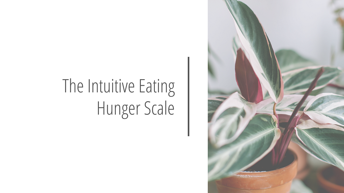 The Intuitive Eating Hunger Scale | by Rachel Beiler, MHS, RD, LDN | Medium