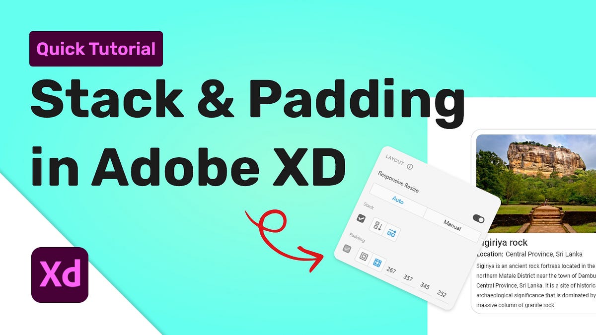 Creating Beautiful and Responsive Information Cards with Adobe XD: A Step-by-Step Guide on Using ...