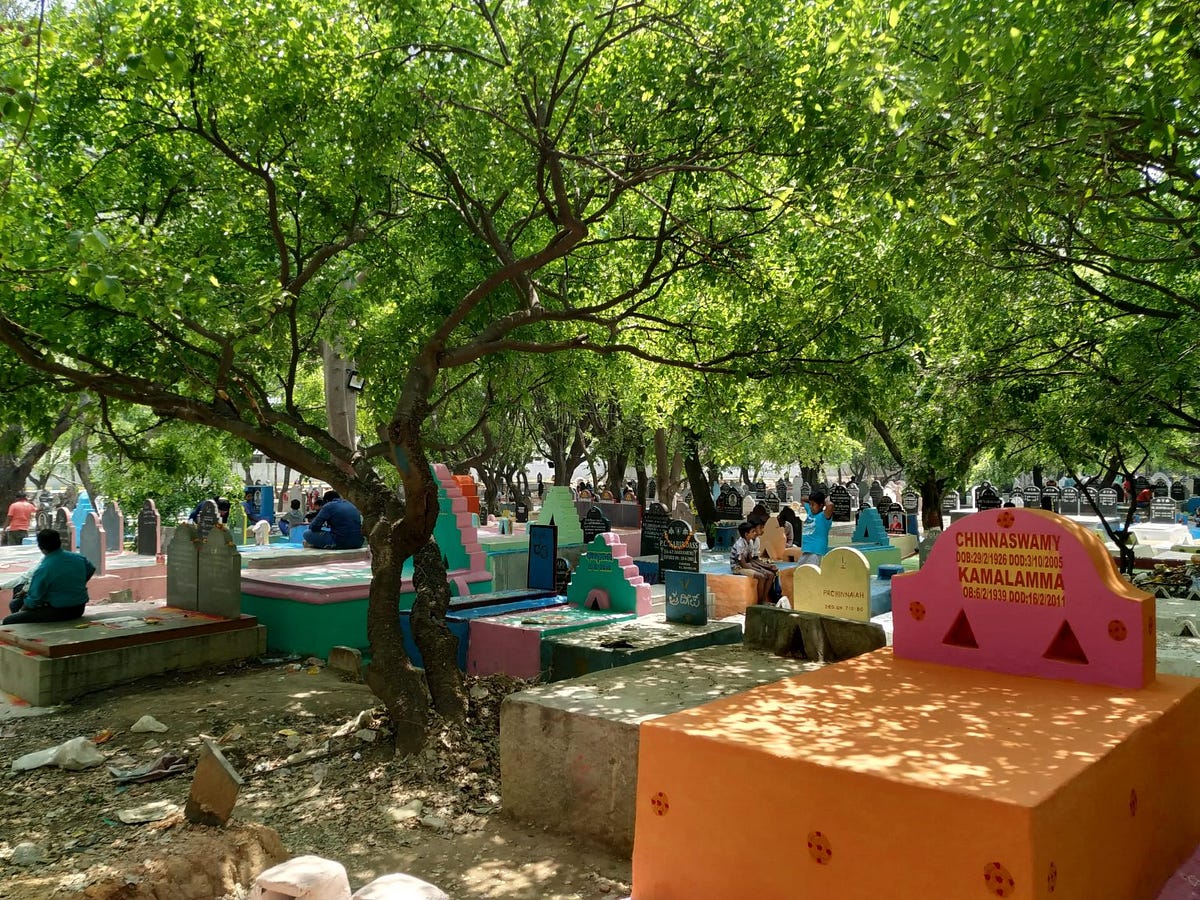 Connecting Nature and Culture in the Urbanising Global South: The ...