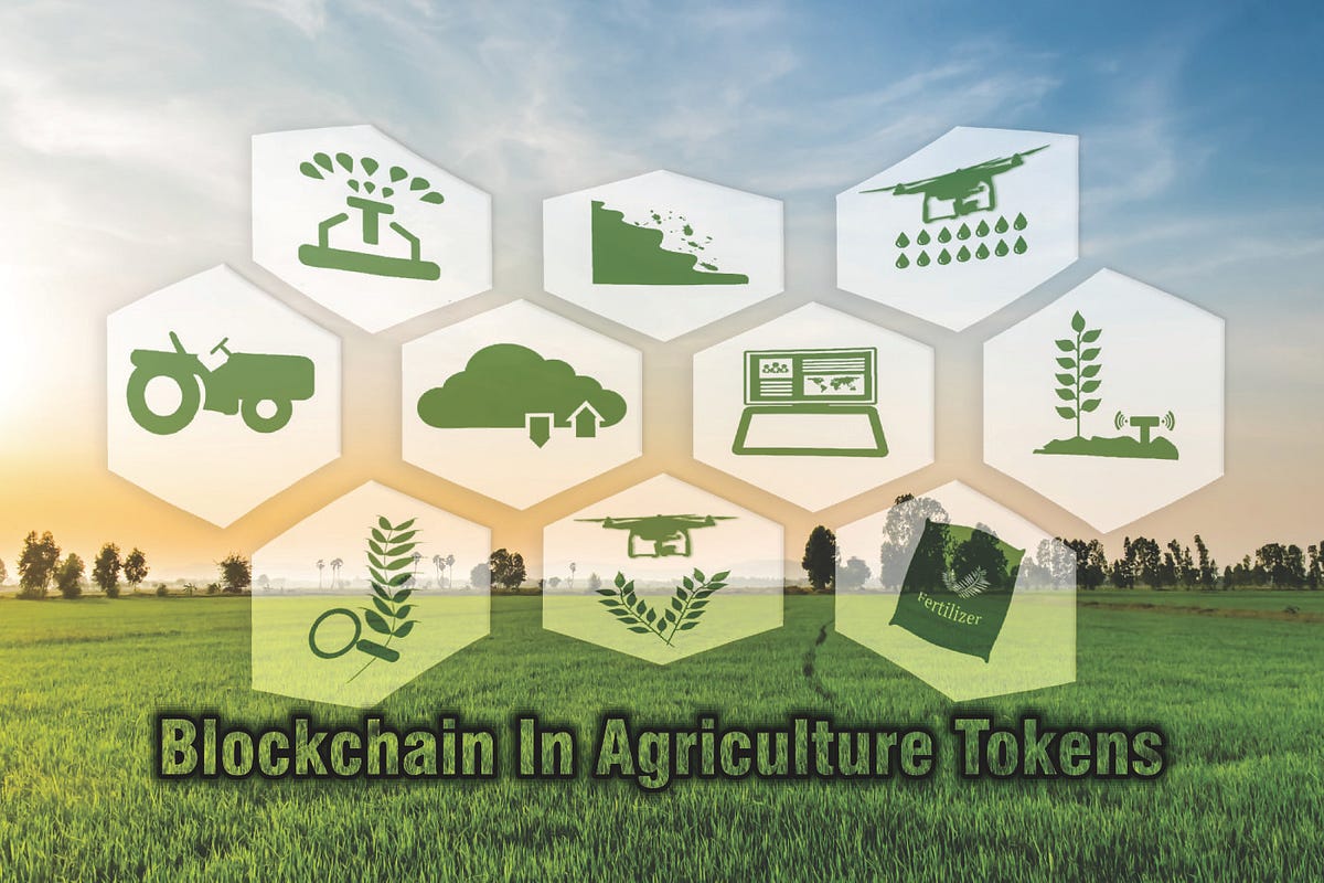 Blockchain Tokens Revolutionizing Agriculture Innovations | Medium