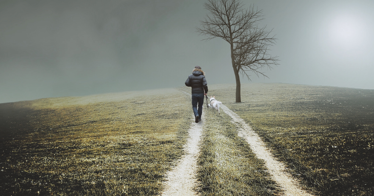 The Path Principle: A Willpower-Free Way Of Breaking Bad Habits | by ...