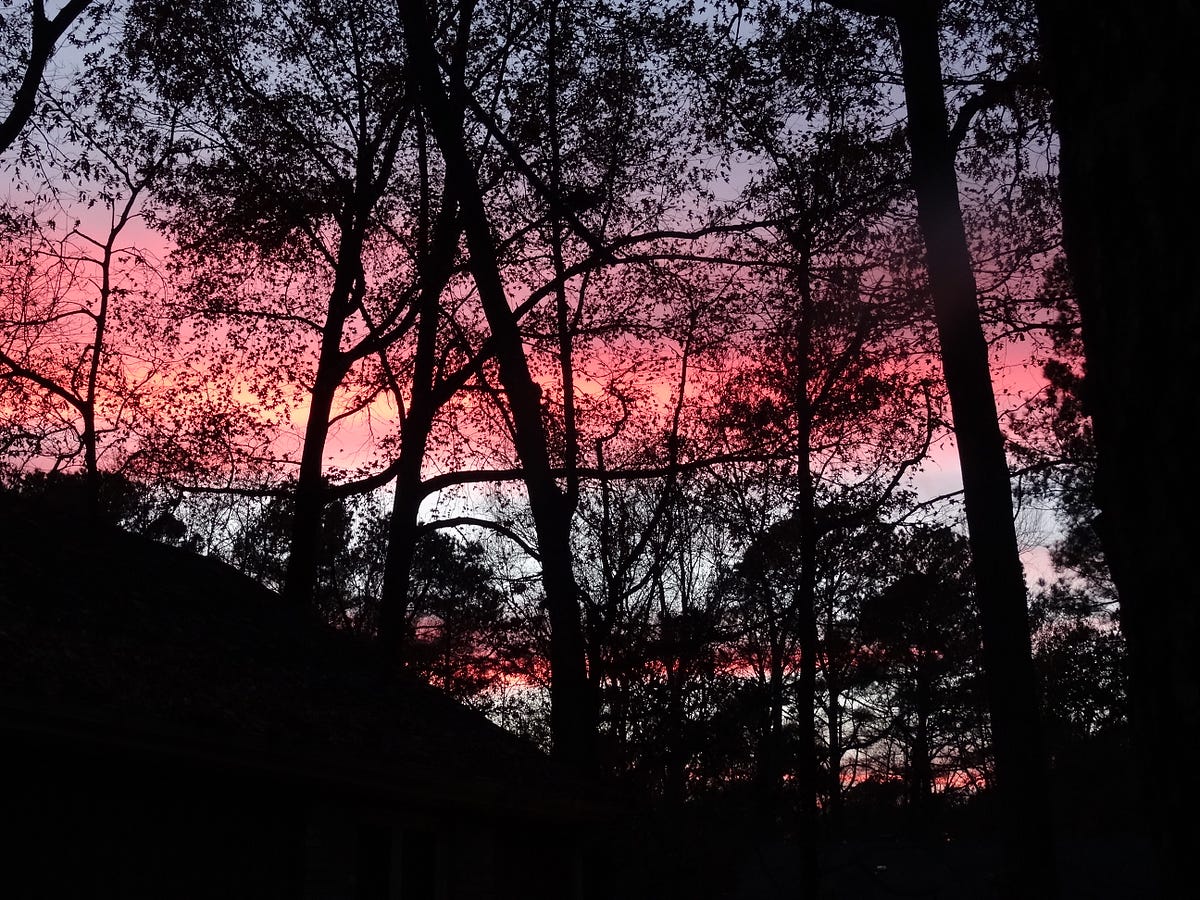 The Pink Offensive. From the “pink tax” to “Millennial… | by Jenn Brown ...