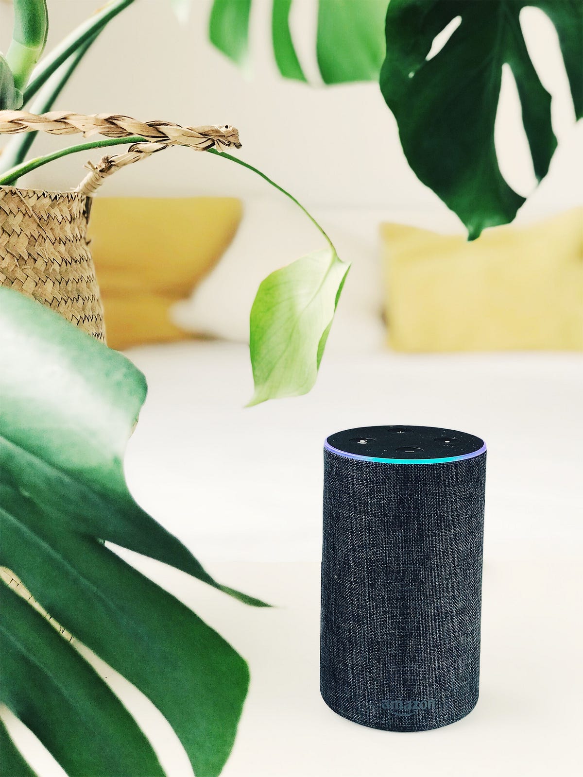 Building An Alexa Quiz Skill — Node Js By Shaneil Medium